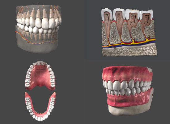 DOSCH DESIGN - 3D models, textures, HDRI, audio and viz-images