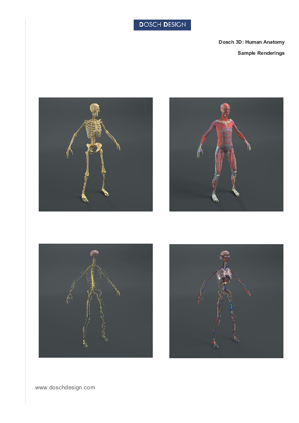 DOSCH DESIGN - 3D models, textures, HDRI, audio and viz-images